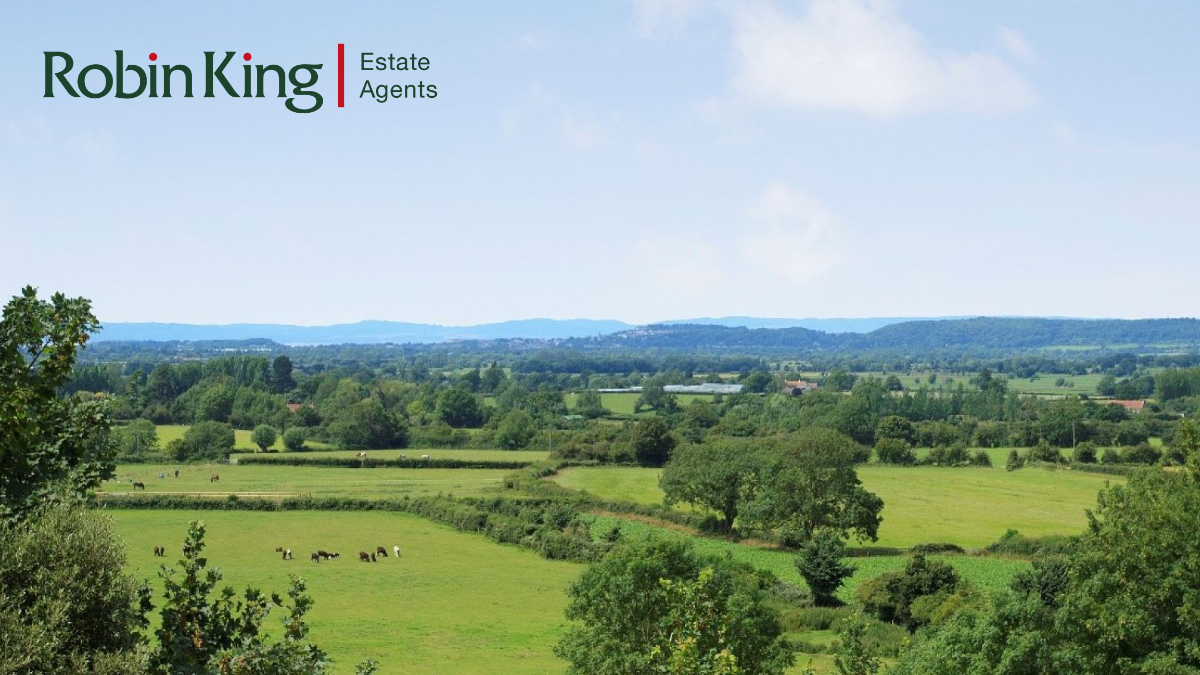 Home - Robin King Estate Agents